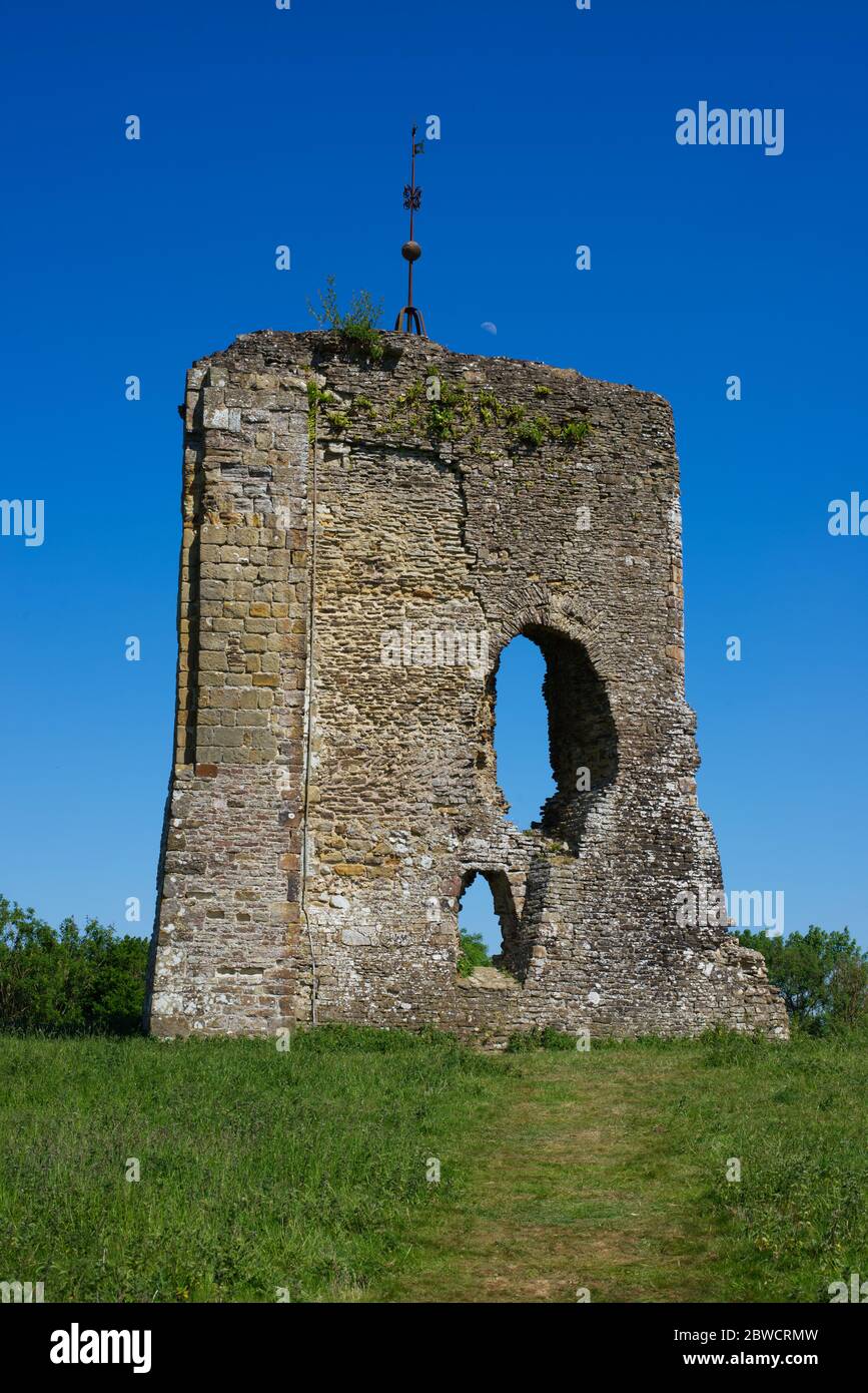 Knepp castle hi-res stock photography and images - Alamy
