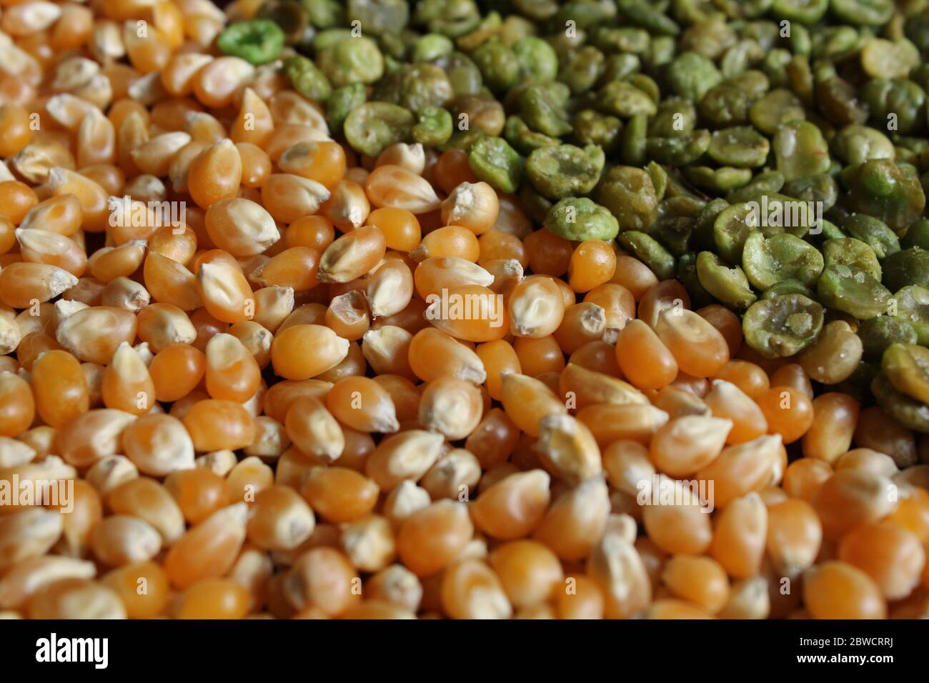 Background texture with sunflower seeds, popcorn kernels, black beans ...