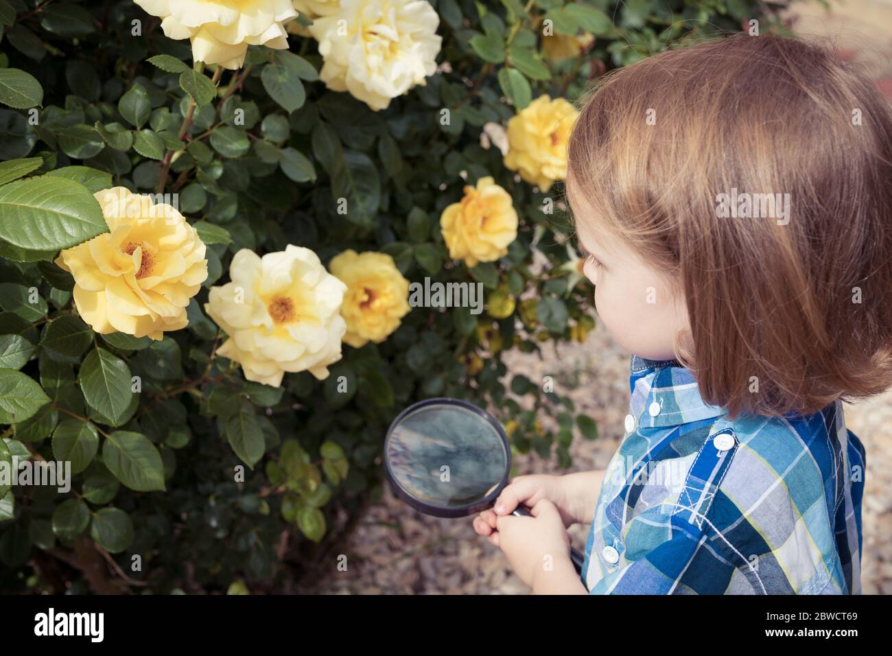 Happy little boy exploring nature with magnifying glass at the day time ...