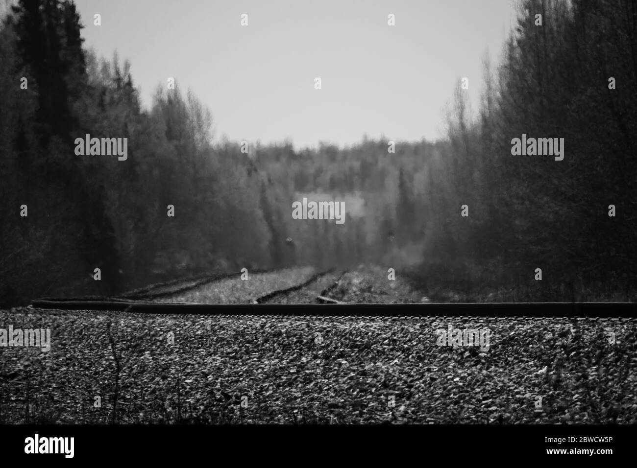 Strong spring hi-res stock photography and images - Alamy