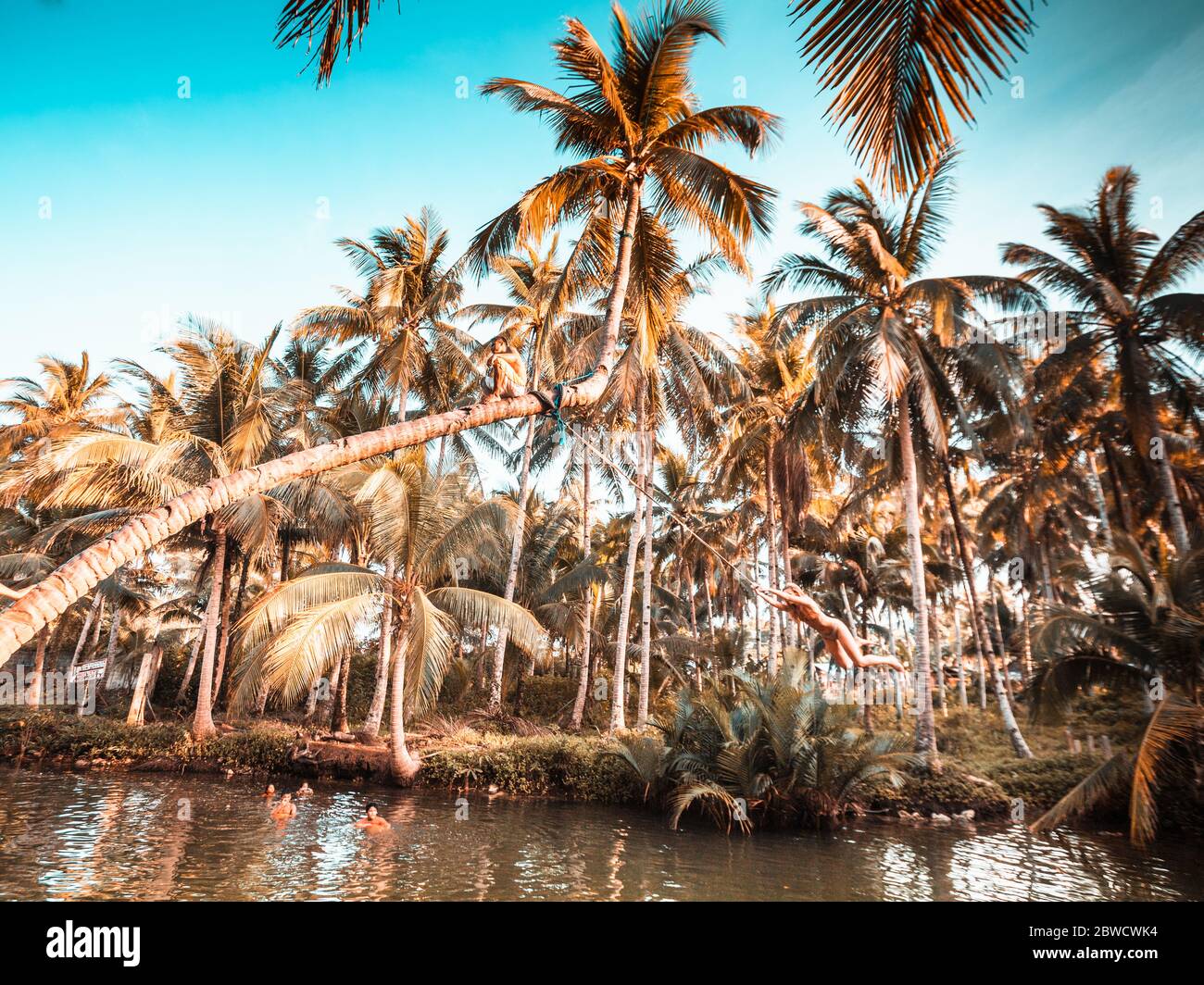 Maasin river palm tree swing hi-res stock photography and images - Alamy