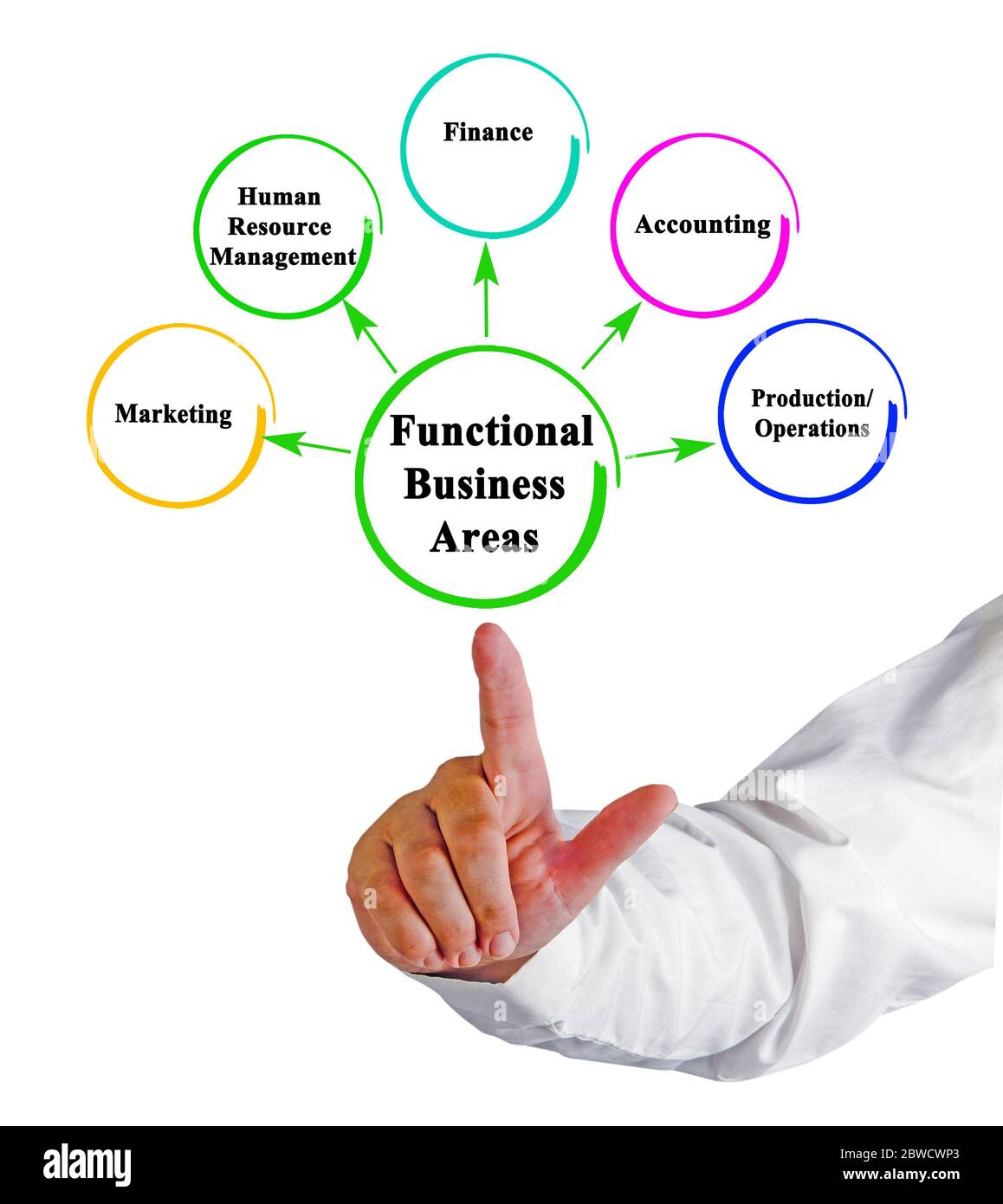 Presenting Five Functional Business Areas Stock Photo - Alamy