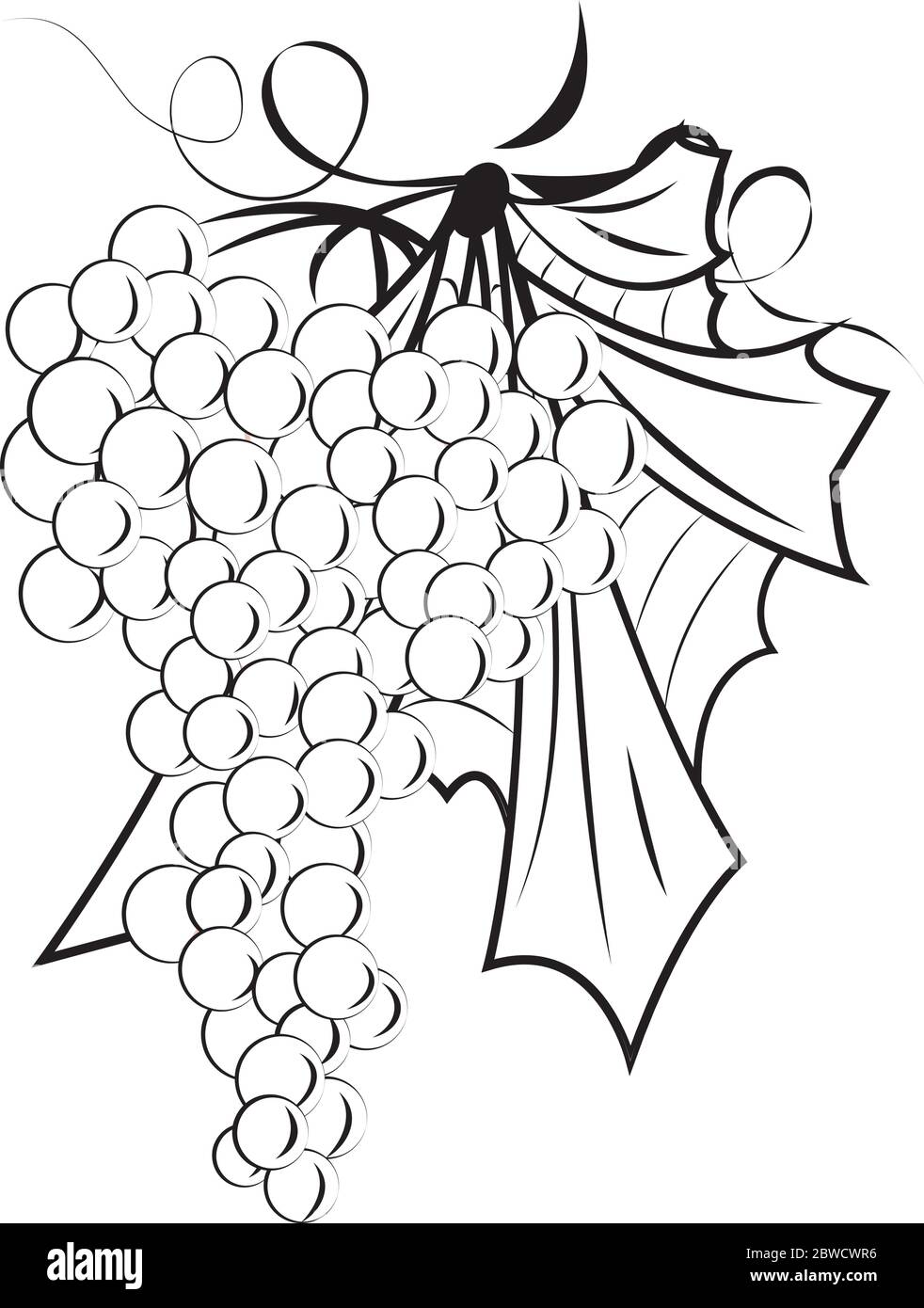 A Bunch of grapes outline Stock Vector Image & Art - Alamy