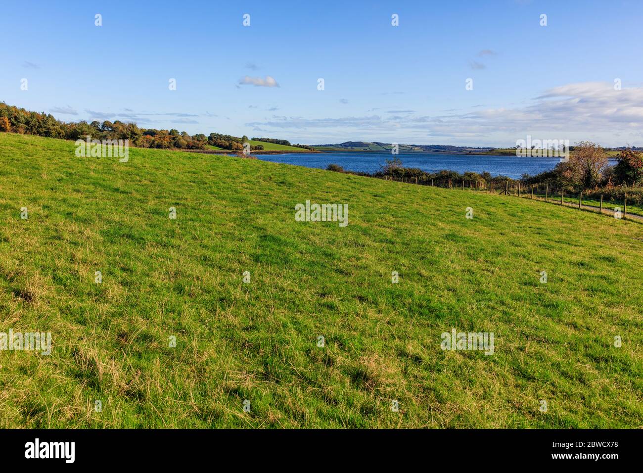 Sunny autumn delamont country park,Northern Ireland Stock Photo - Alamy