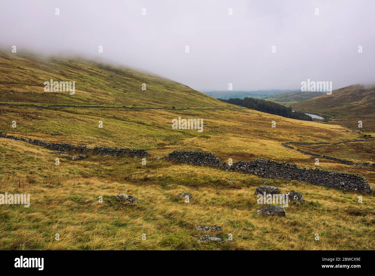 foggy autumn morning on mounrne mountain,Northern Ireland Stock Photo ...