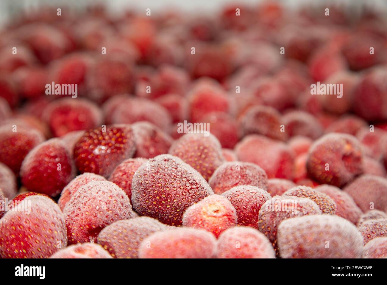 Frozen fresh strawberry. Food background of berries Stock Photo - Alamy