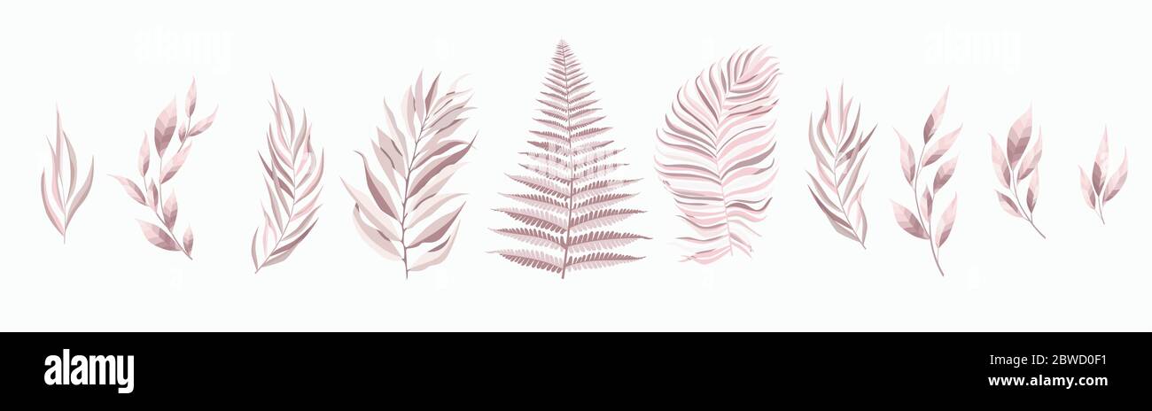 Vector set leaf. Pink leaves on white background. Vector illustration ...