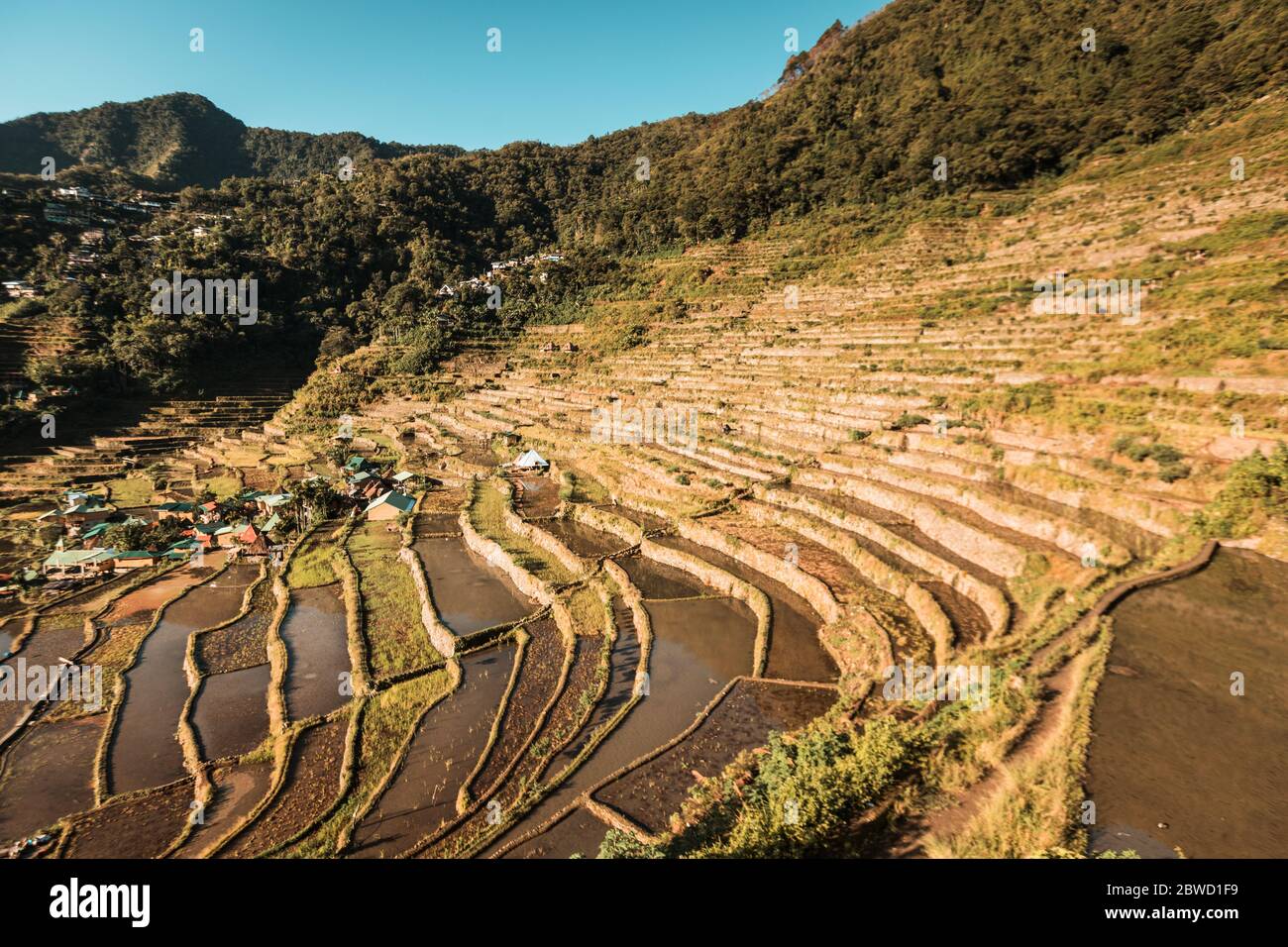 Panoramic view of Batad Rice Terraces in the Philippines Stock Photo ...