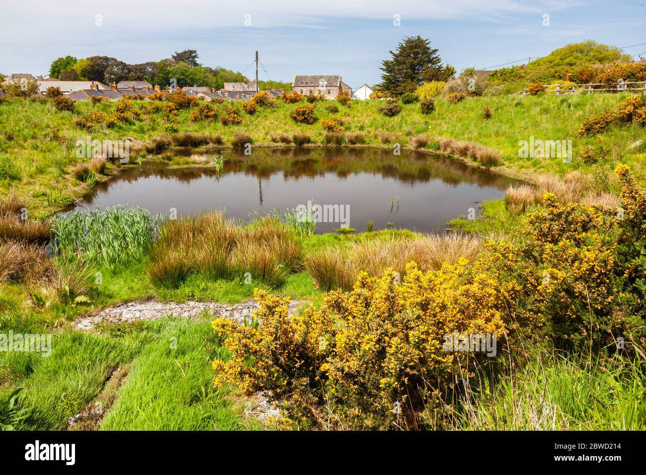 Pool on the red river and Valley at Tuckingmill near Camborne Cornwall ...
