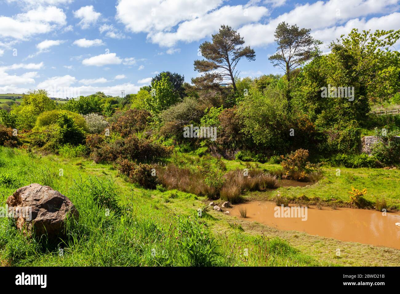 The red river and Valley at Tuckingmill near Camborne Cornwall UK ...