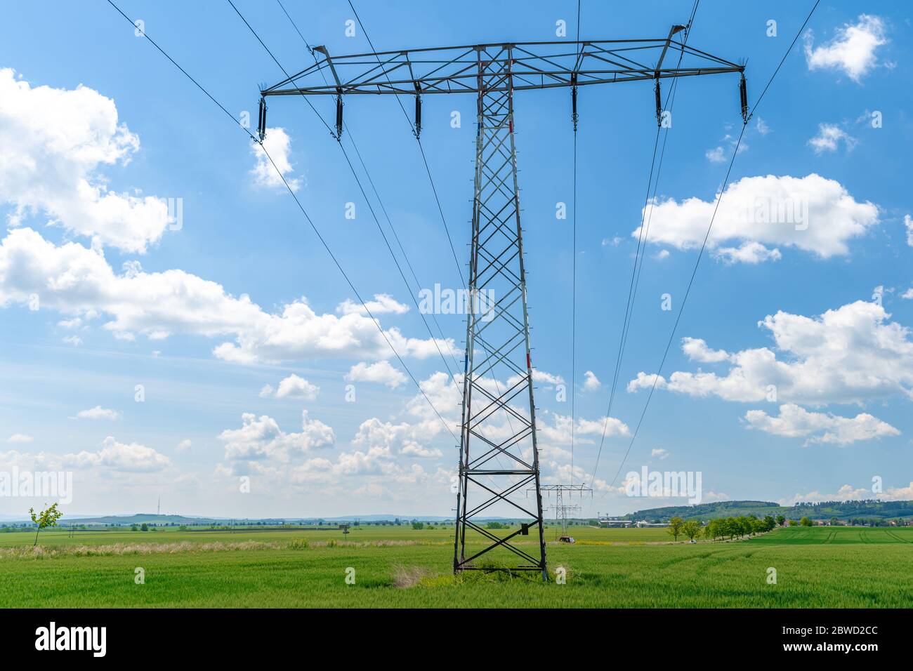 high voltage wires over a field with farm plants Stock Photo - Alamy