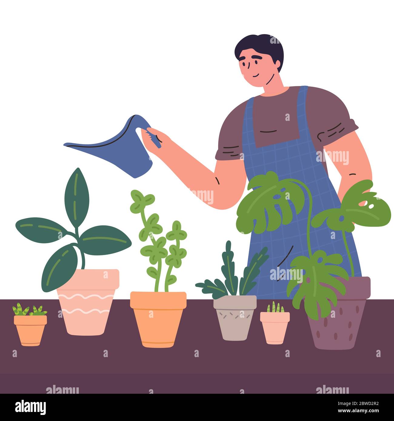 Young man houseplant Stock Vector Images - Alamy
