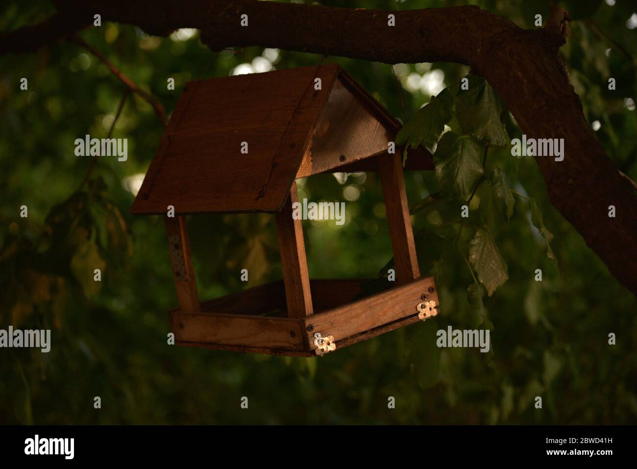 Birdhouse on a tree branch. wooden birdhouse on a tree in the forest ...