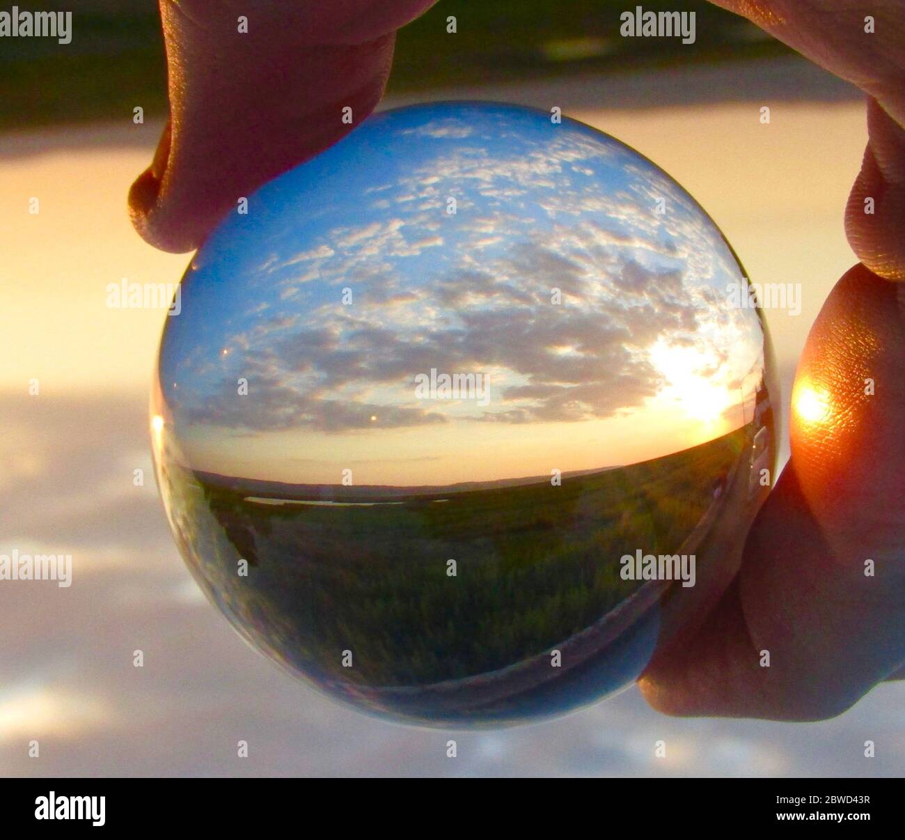 Lensball Photography Credit Ian Fairbrother/Alamy Stock Photos Stock ...