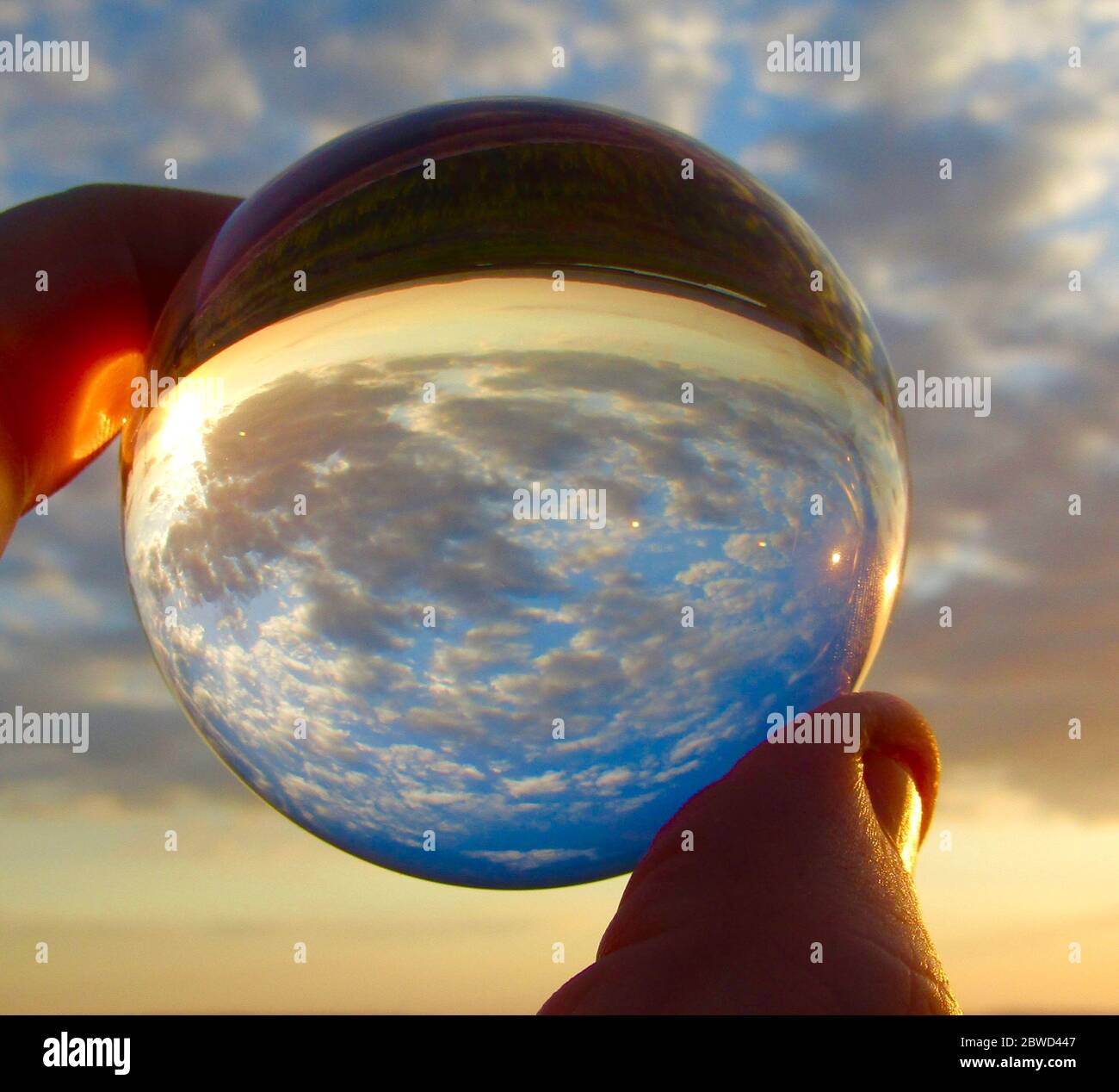 Lensball Photography Credit Ian Fairbrother/Alamy Stock Photos Stock ...