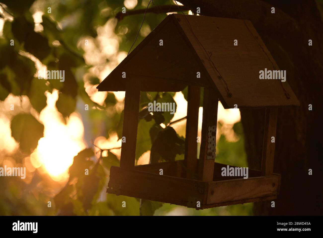 Birdhouse on a tree branch. wooden birdhouse on a tree in the forest ...
