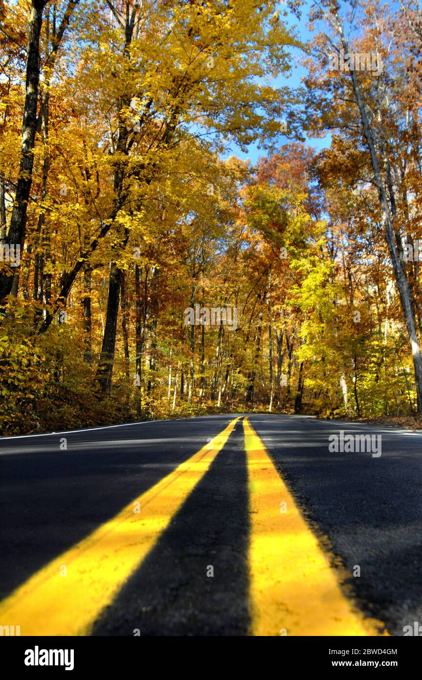 Pig trail highway hi-res stock photography and images - Alamy