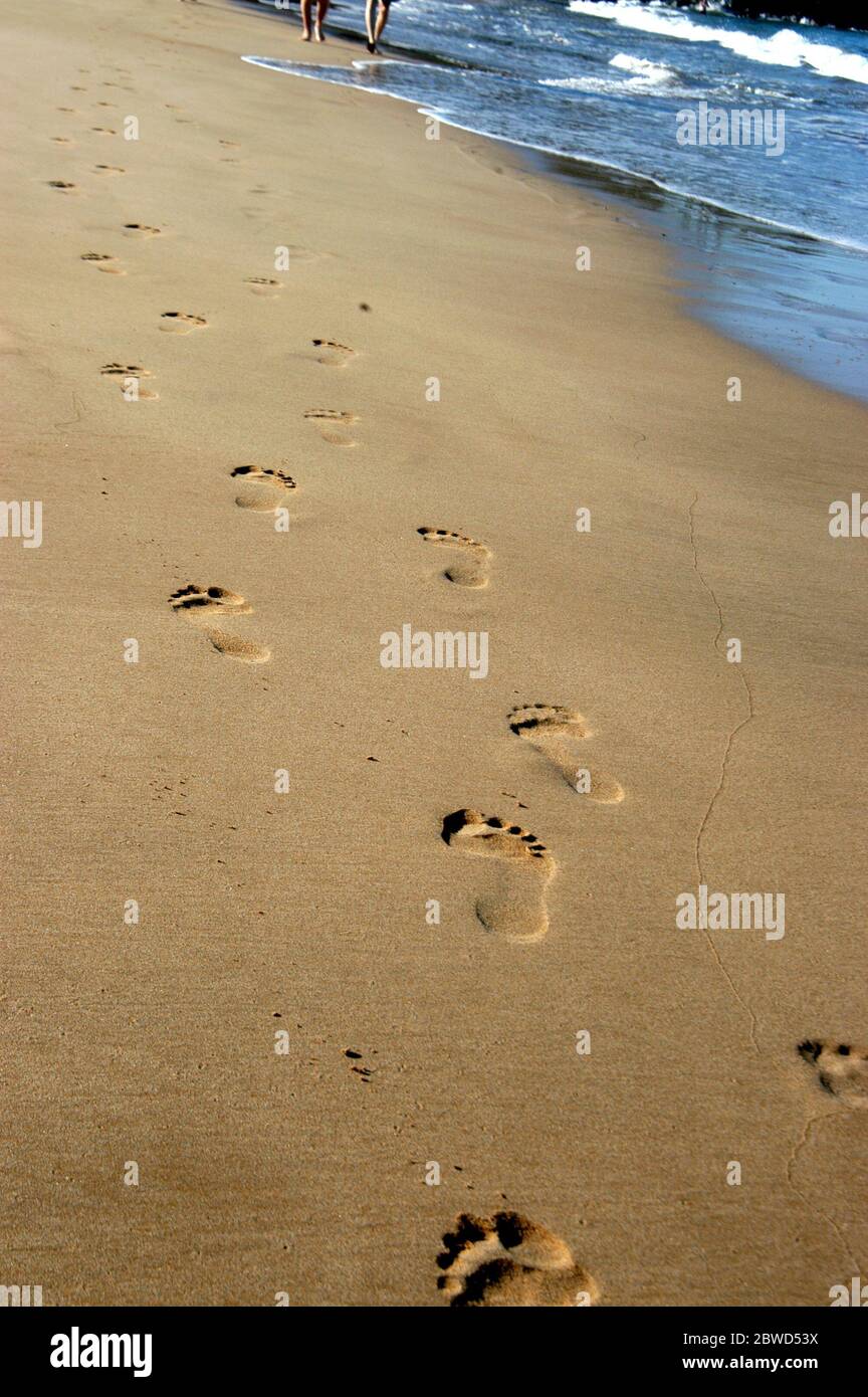 Footprints form disappearing path as couple walk along a beach on the ...