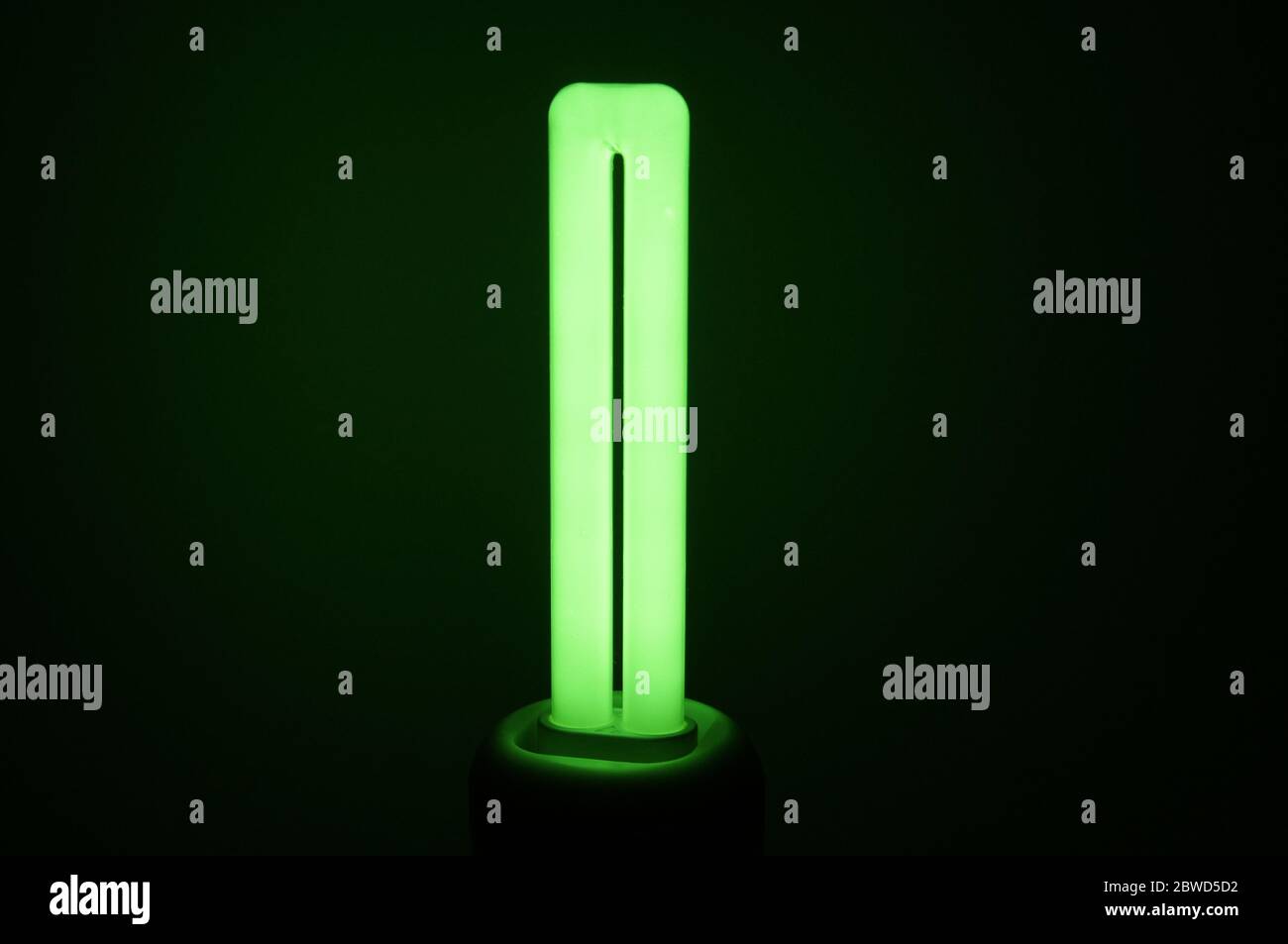 Green lightbulb CFL lamp energy saver Stock Photo - Alamy