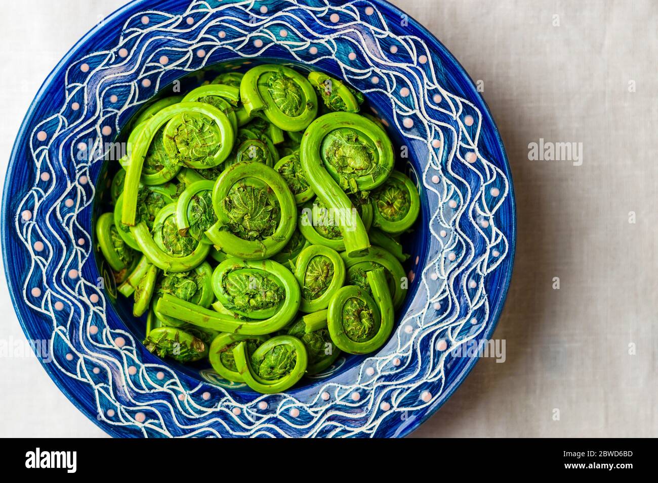 Fiddleheads of ferns hi-res stock photography and images - Alamy