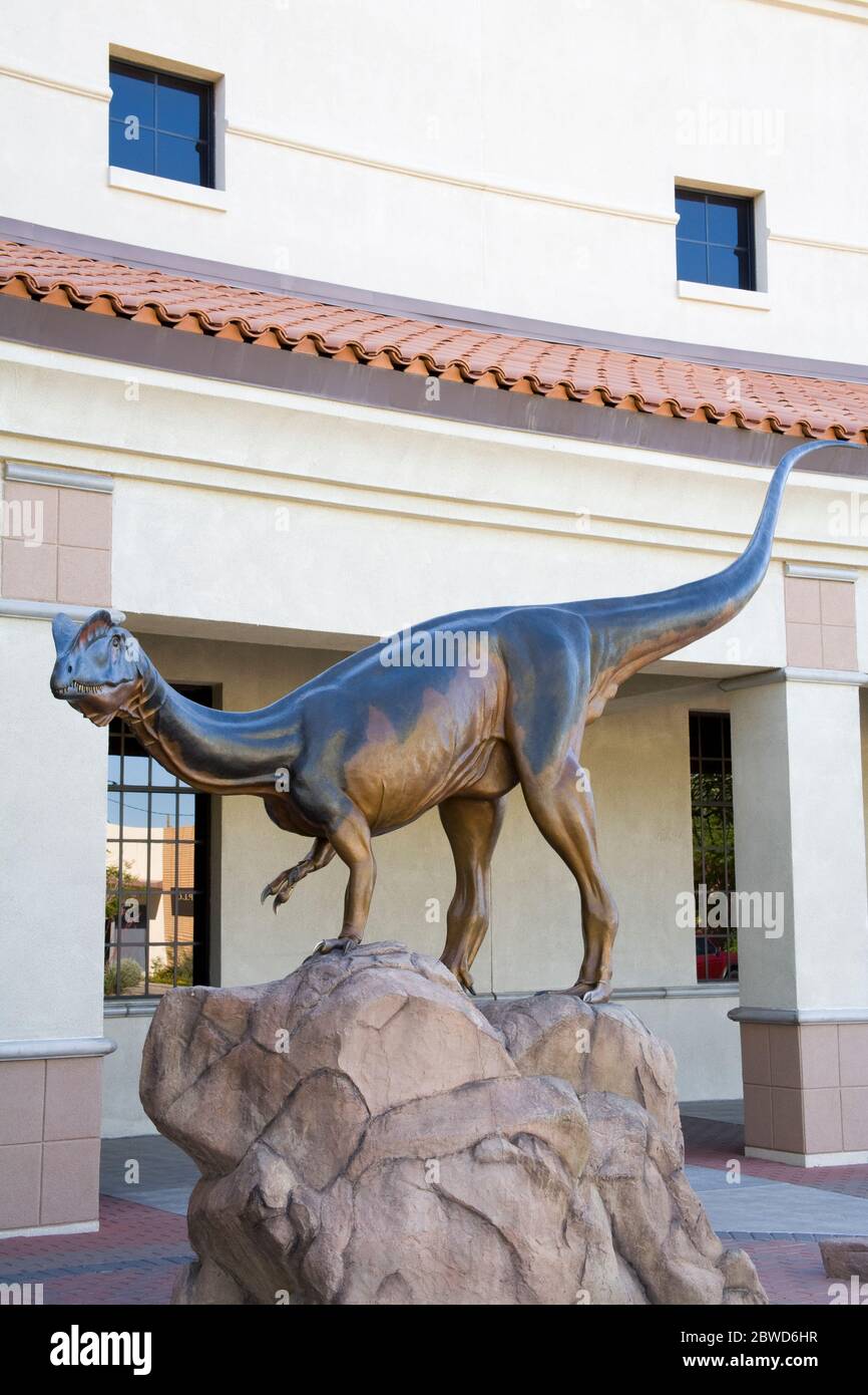Museum Of Natural History Mesa City Greater Phoenix Area Arizona