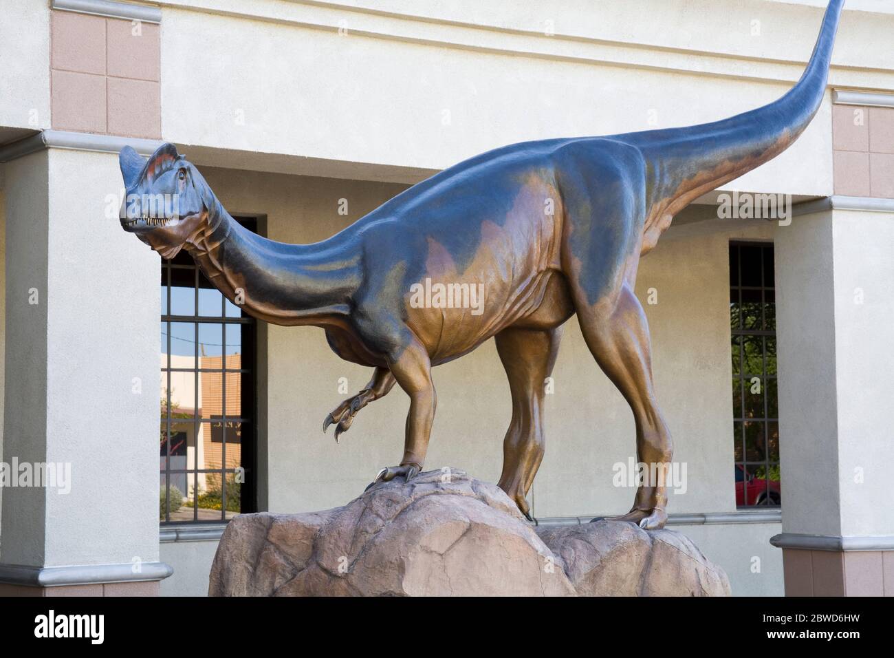 Museum of Natural History, Mesa City, Greater Phoenix Area, Arizona ...