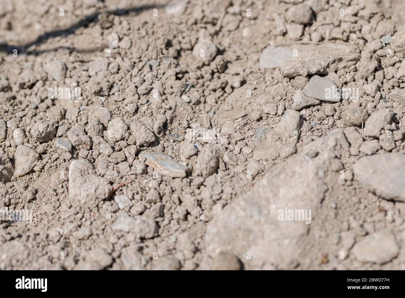 Parched Field Texture High Resolution Stock Photography and Images - Alamy