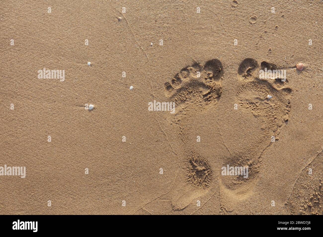 Top view of footprints on wet beach sand Stock Photo - Alamy