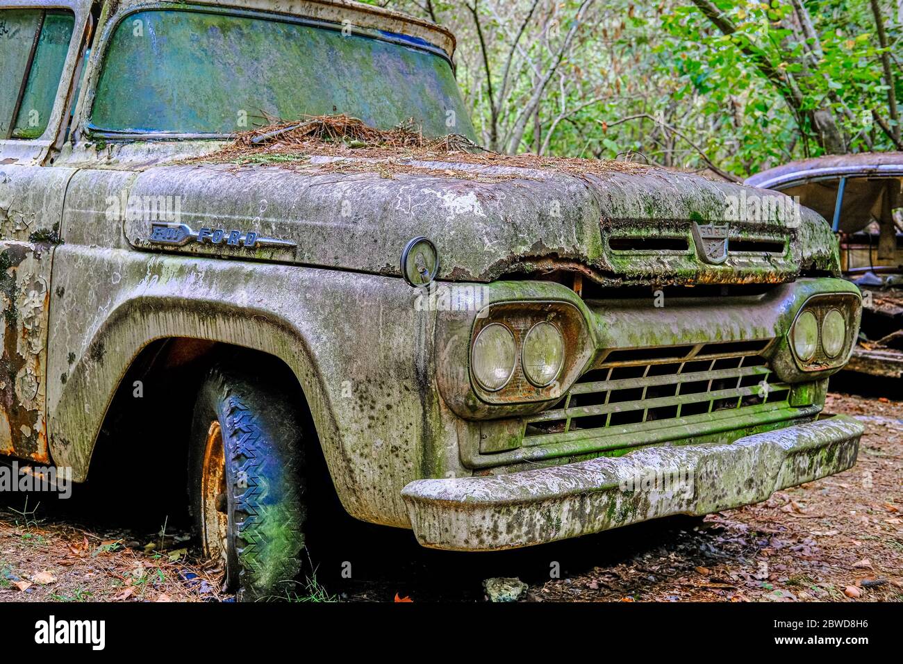 Ford Pickup Pitted with Rust Stock Photo - Alamy
