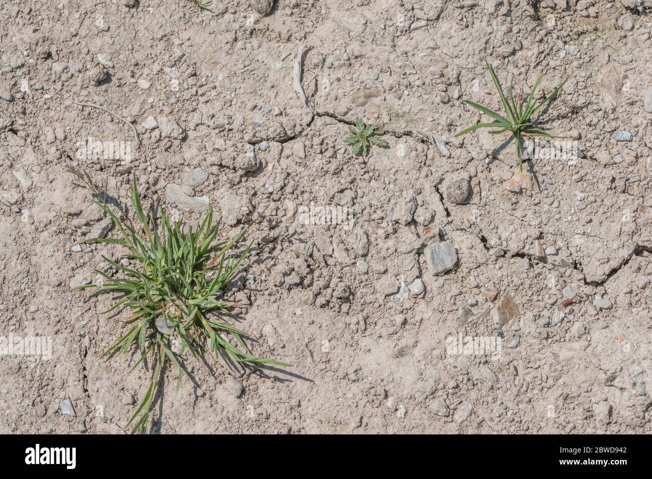 Harsh soil hi-res stock photography and images - Alamy