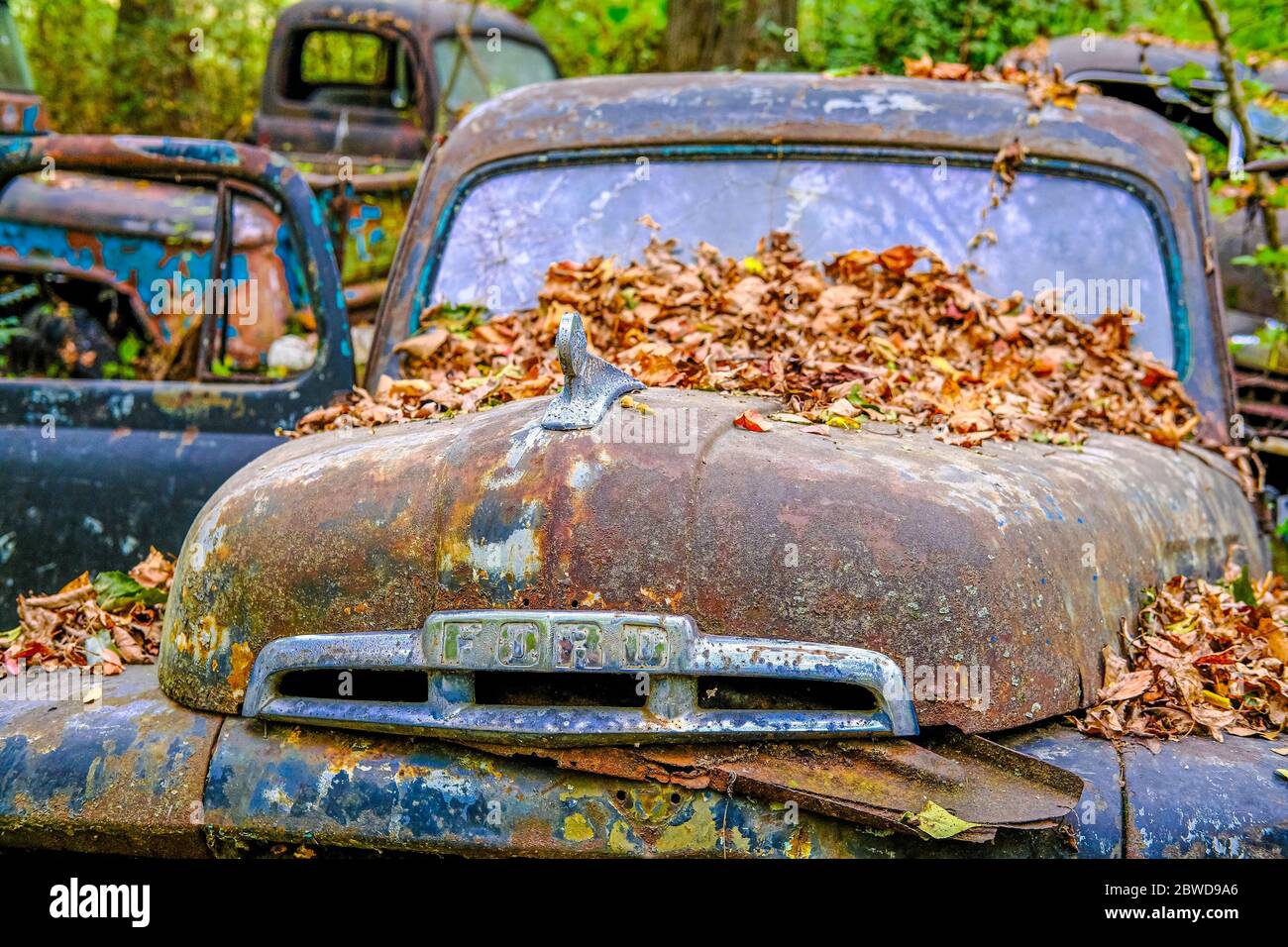 Old Rusty Ford Pickup Stock Photo - Alamy