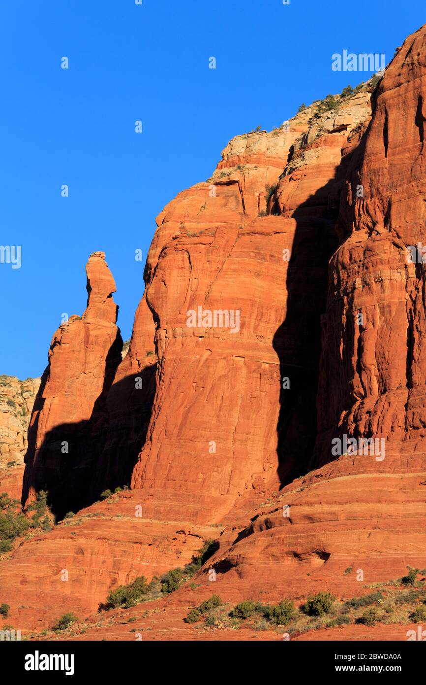 Rock oak hi-res stock photography and images - Alamy