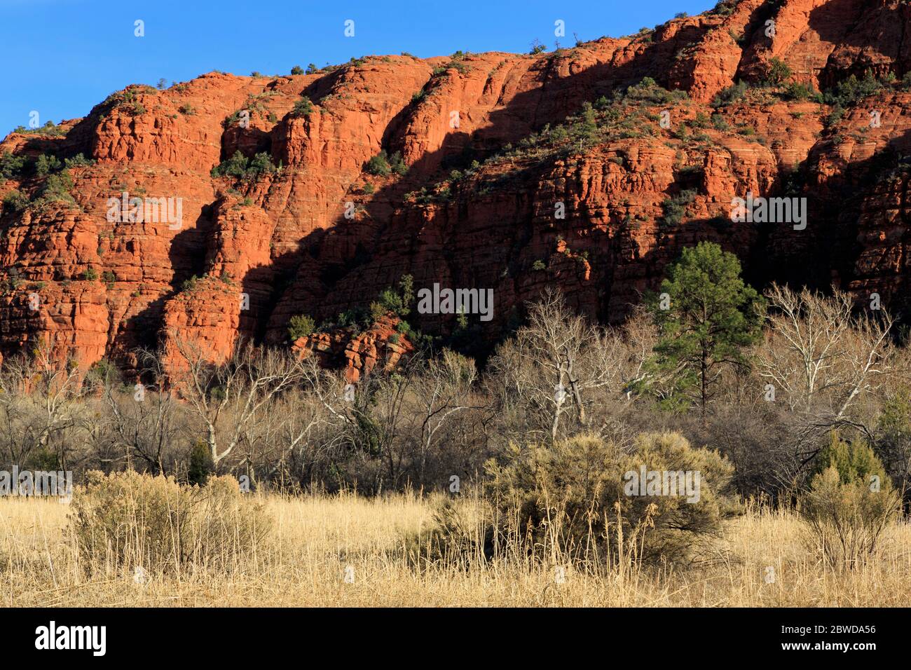 Red Rock Crossing,Sedona,Arizona,USA Stock Photo - Alamy