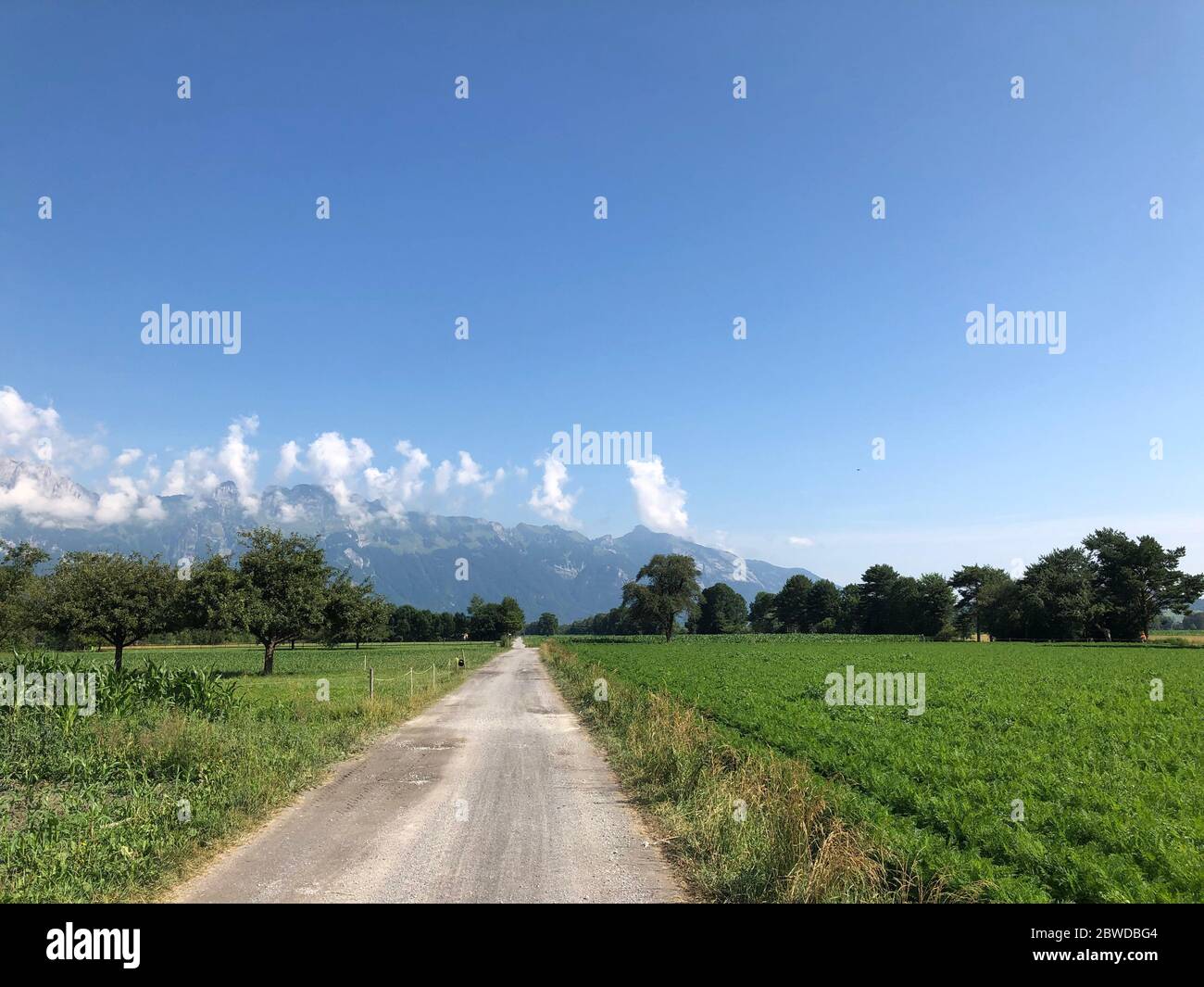 Liechtenstein beautiful countryside Stock Photo - Alamy