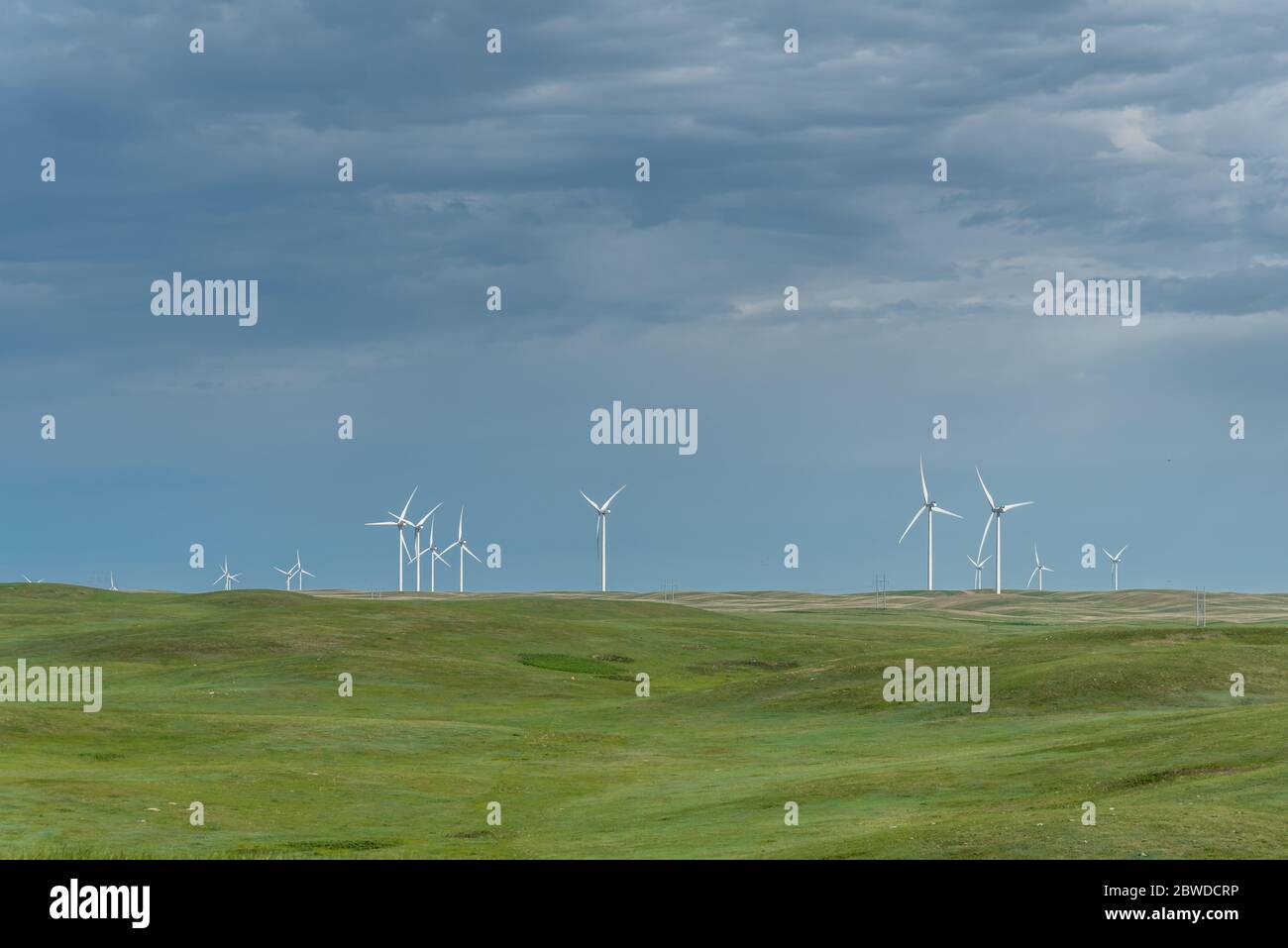 Wind turbines located in South Eastern Alberta close to Carmangay ...