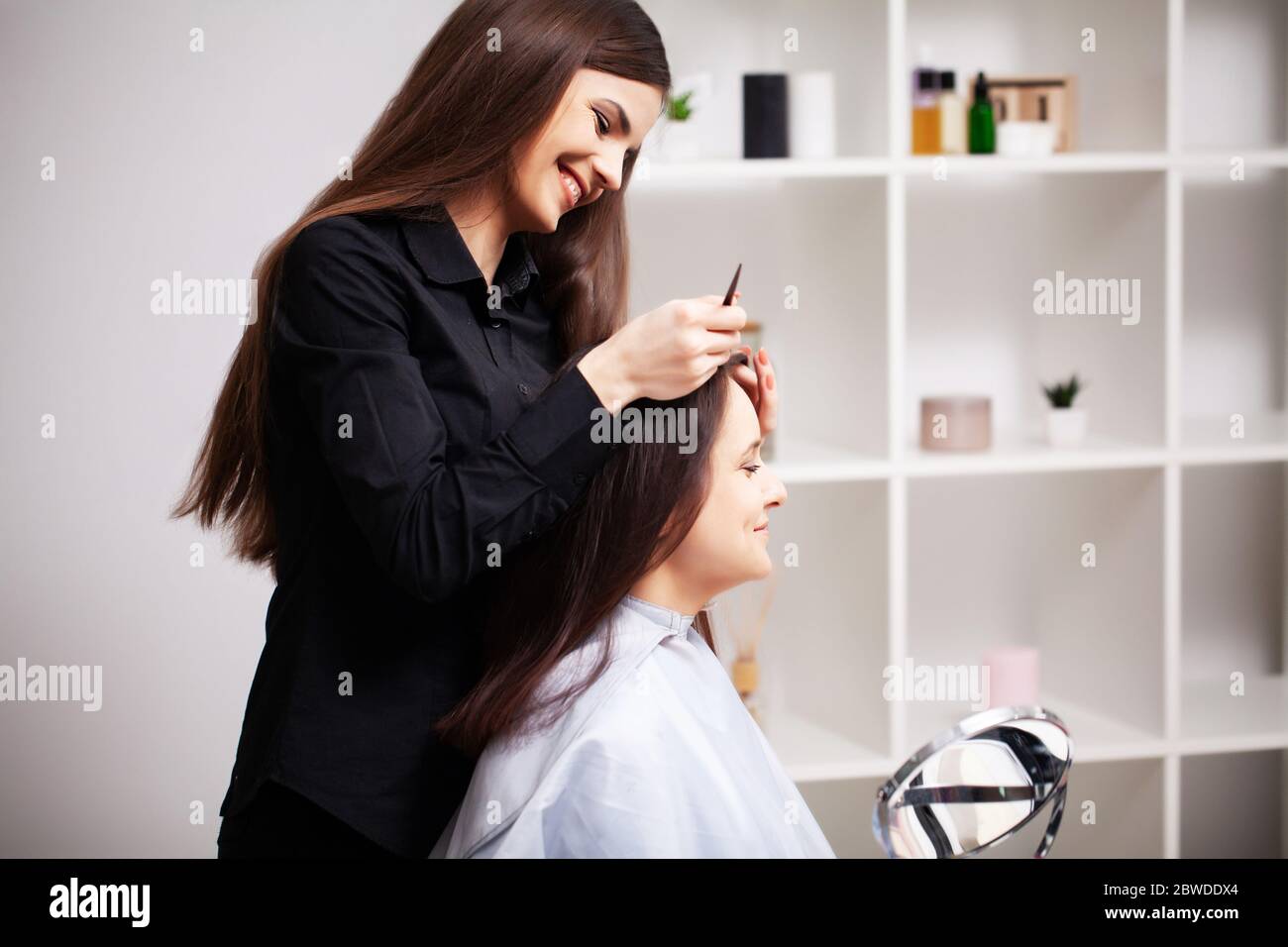 Professional stylist makes a young woman a beautiful hairstyle Stock ...
