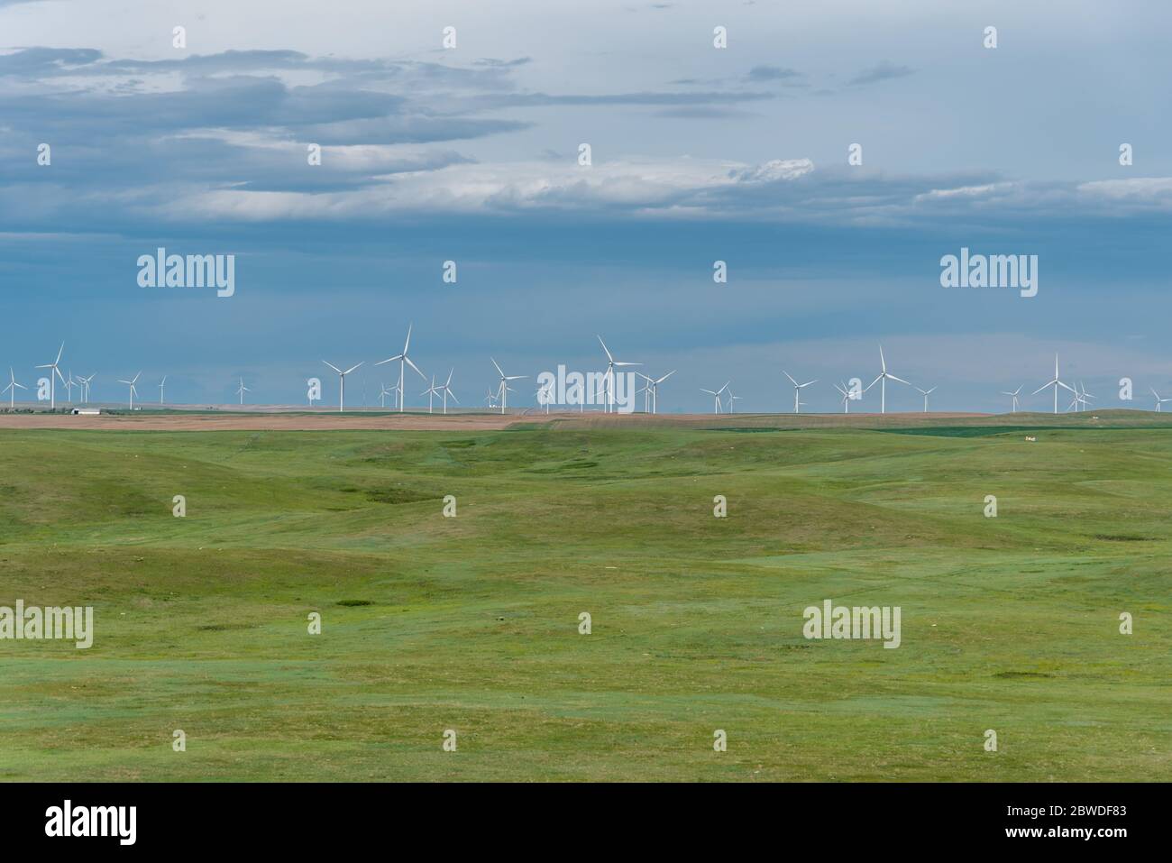Wind turbines located in South Eastern Alberta close to Carmangay ...