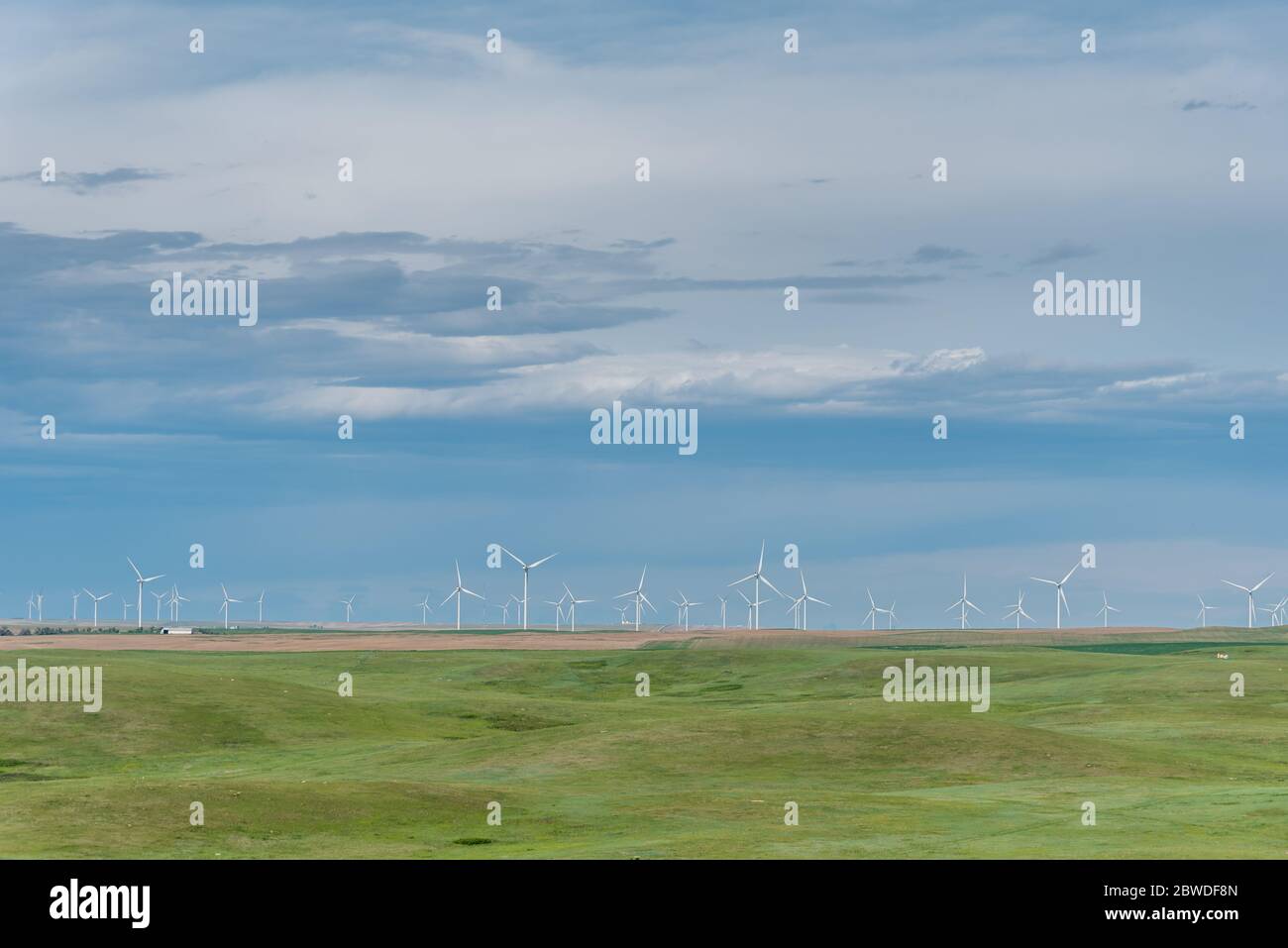 Wind turbines located in South Eastern Alberta close to Carmangay ...