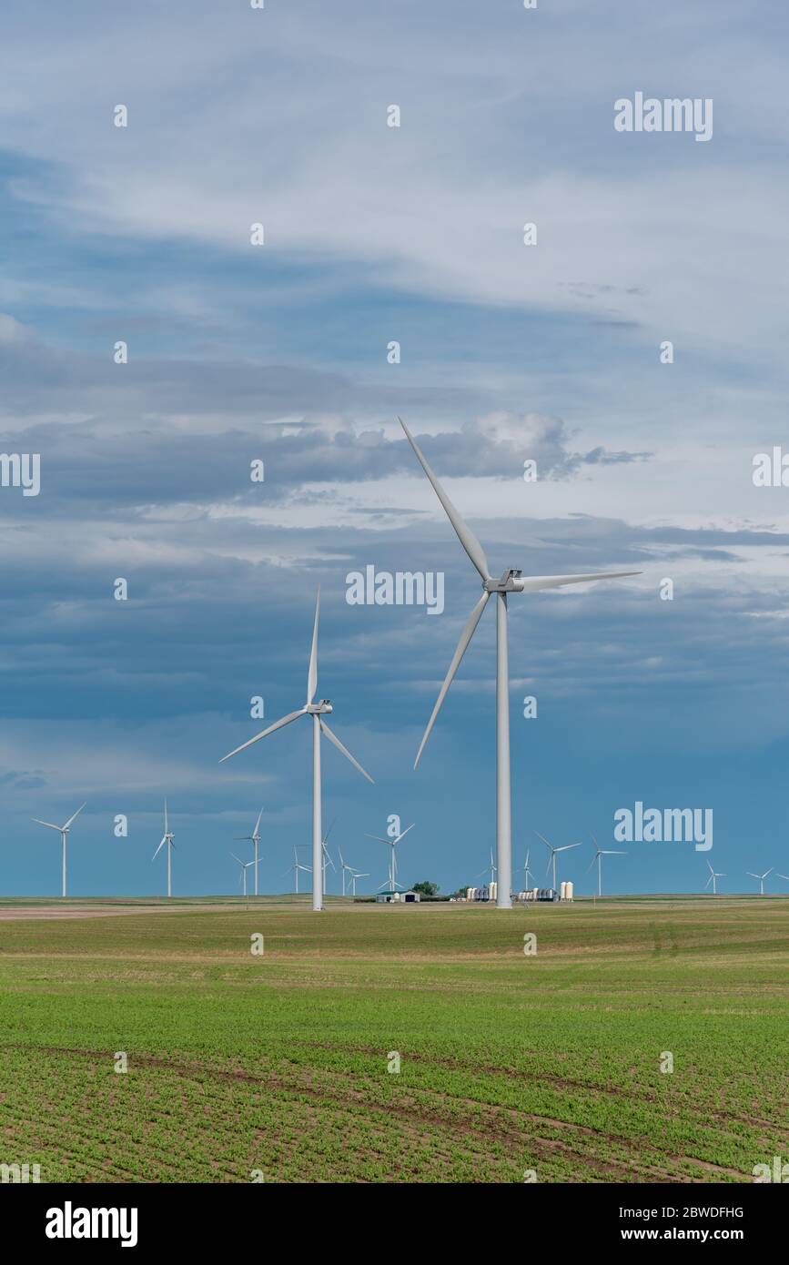 Carmangay hi-res stock photography and images - Alamy