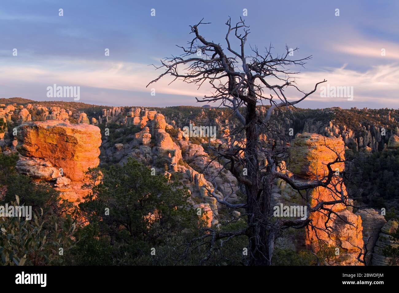 Rock Formations in Chiricahua National Monument, Willcox, Cochise ...