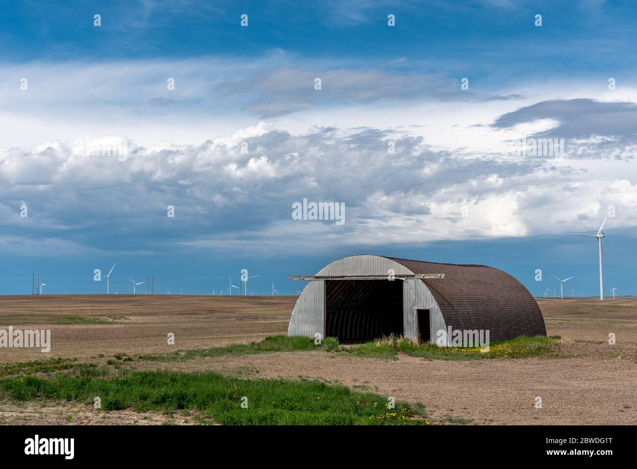 Wind turbines located in South Eastern Alberta close to Carmangay ...