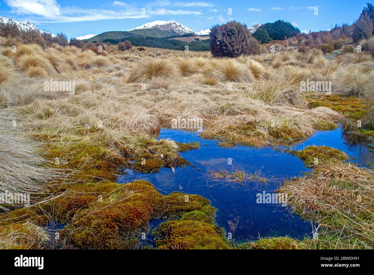 Bealey bealey hi-res stock photography and images - Alamy