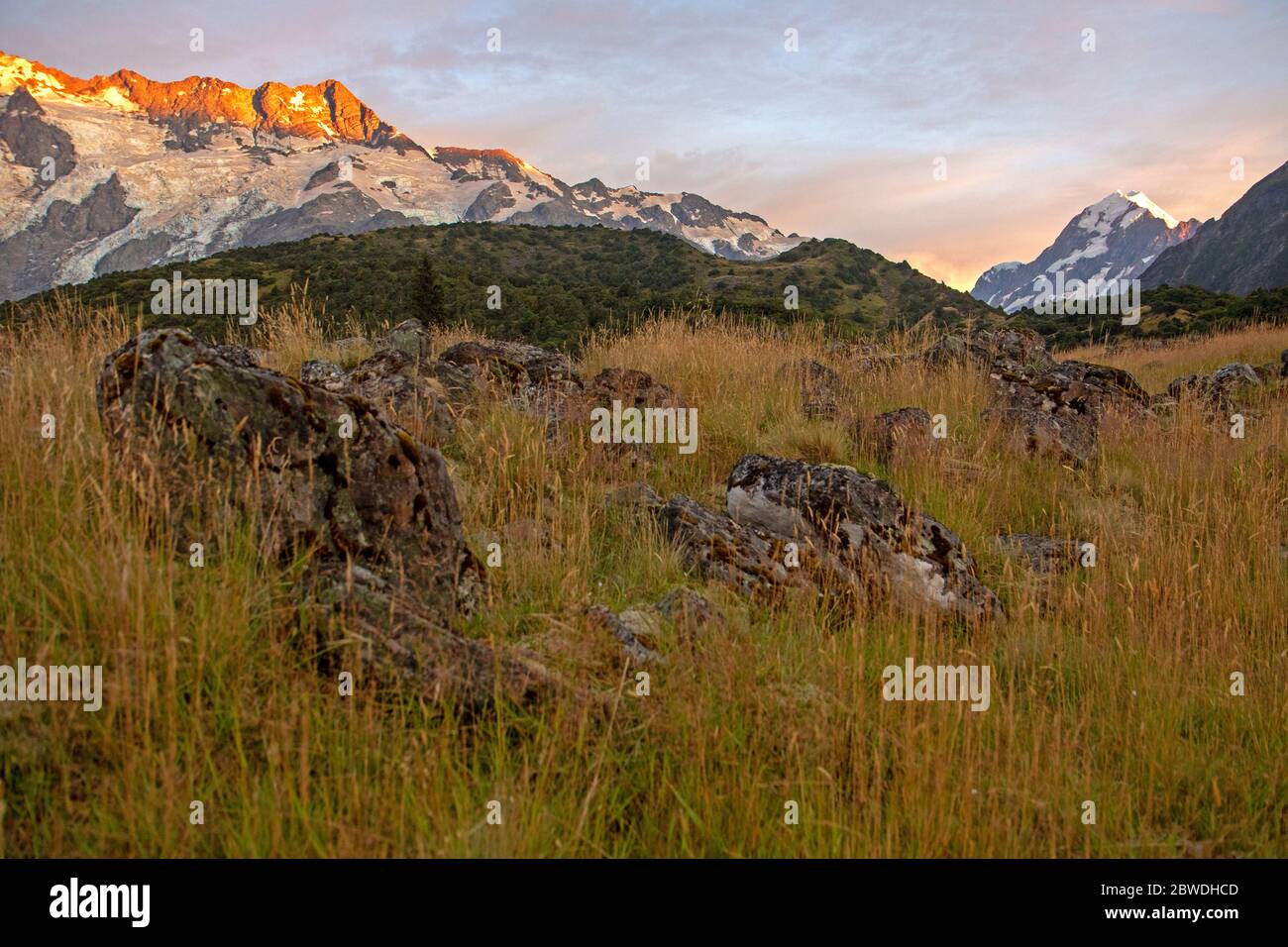 Sunrise on Mt Sefton and Aoraki/Mt Cook Stock Photo - Alamy