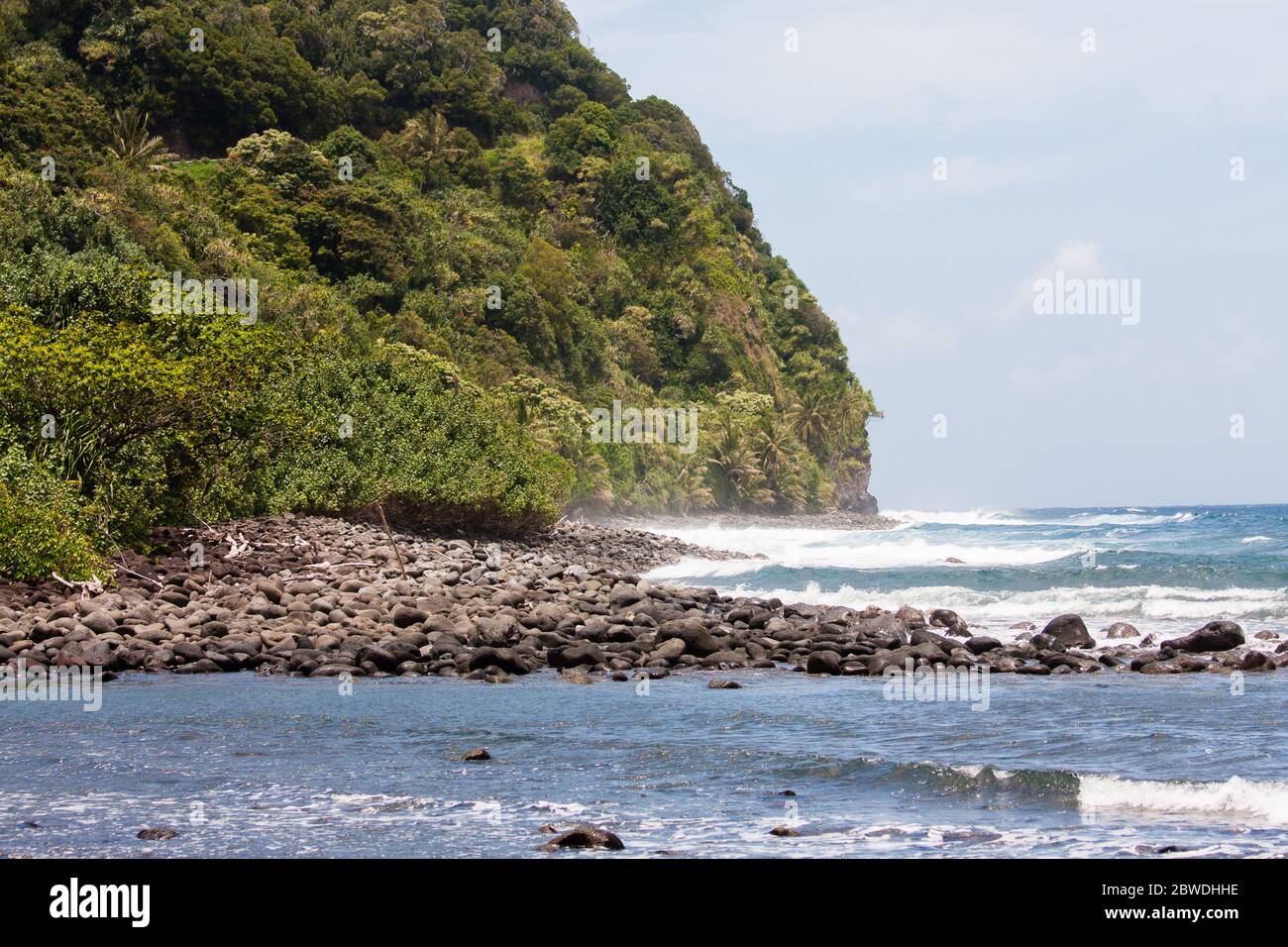 Waves forest hi-res stock photography and images - Alamy