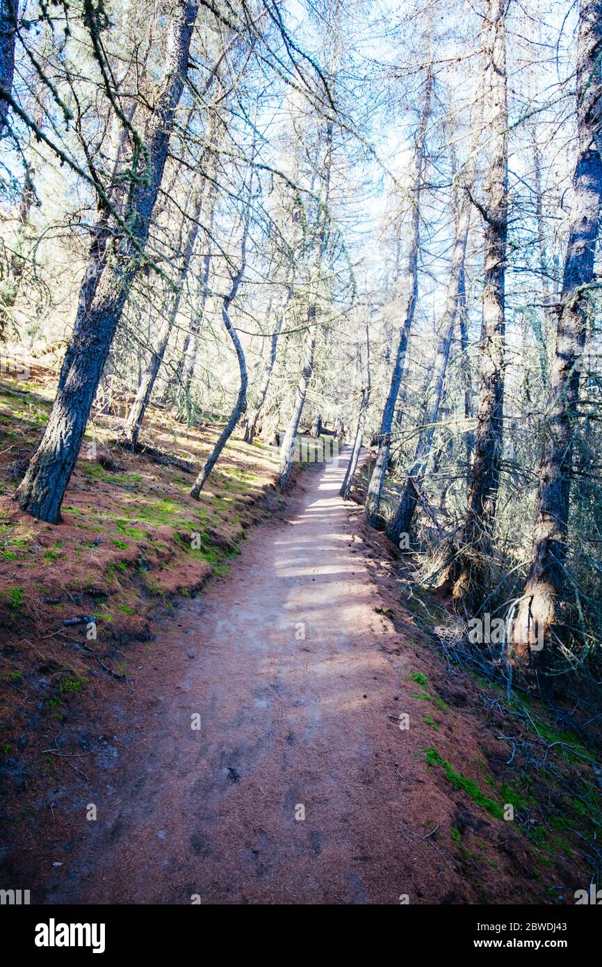 Mt John Summit Circuit Track in New Zealand Stock Photo - Alamy