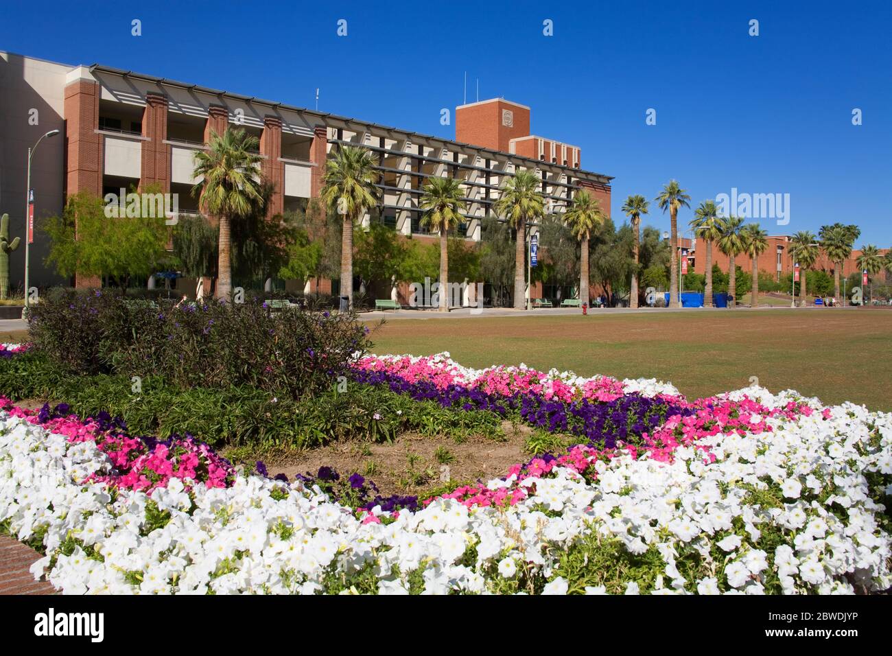 University of arizona hi-res stock photography and images - Alamy