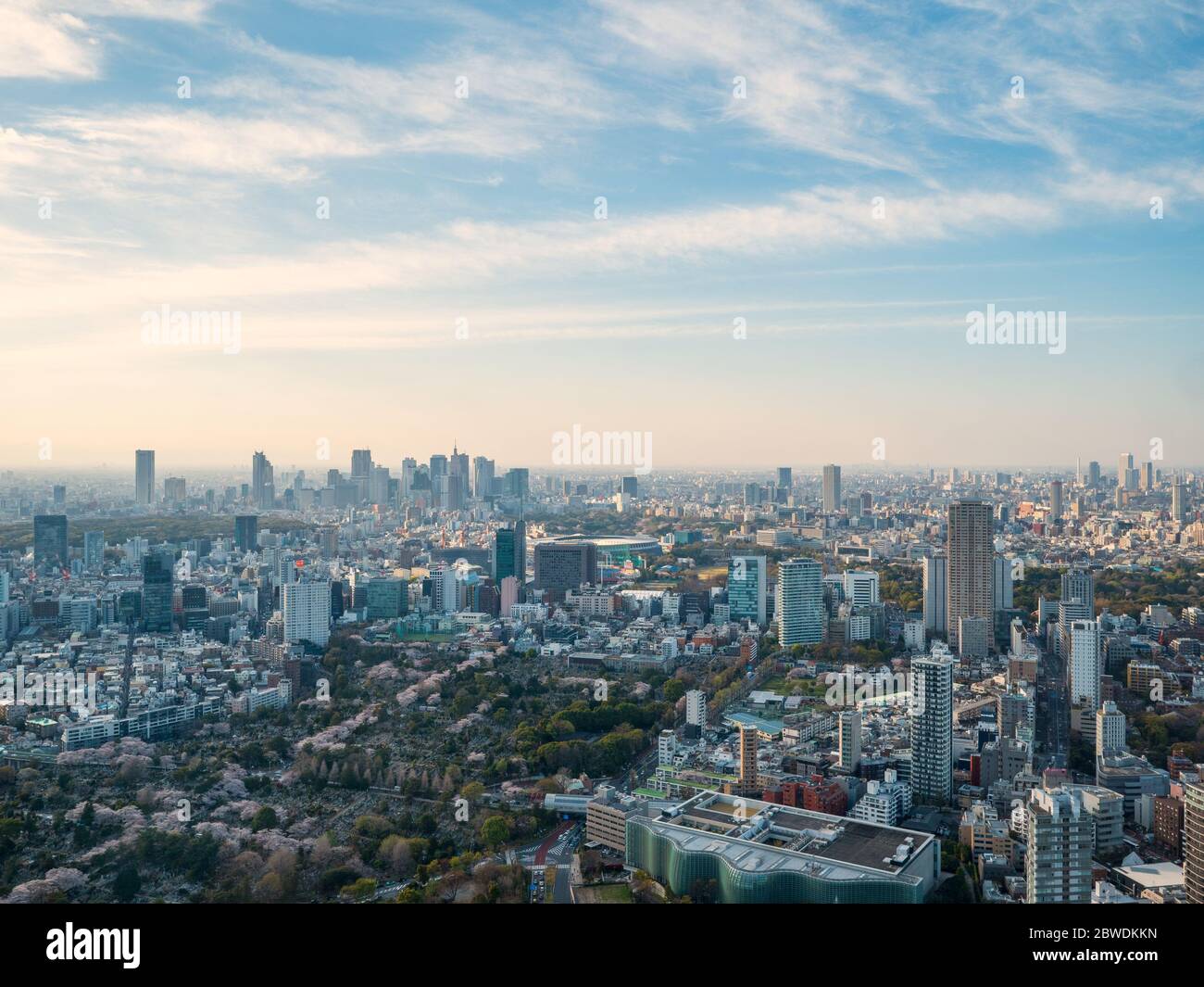 Beautiful scene tokyo skyline hi-res stock photography and images - Alamy