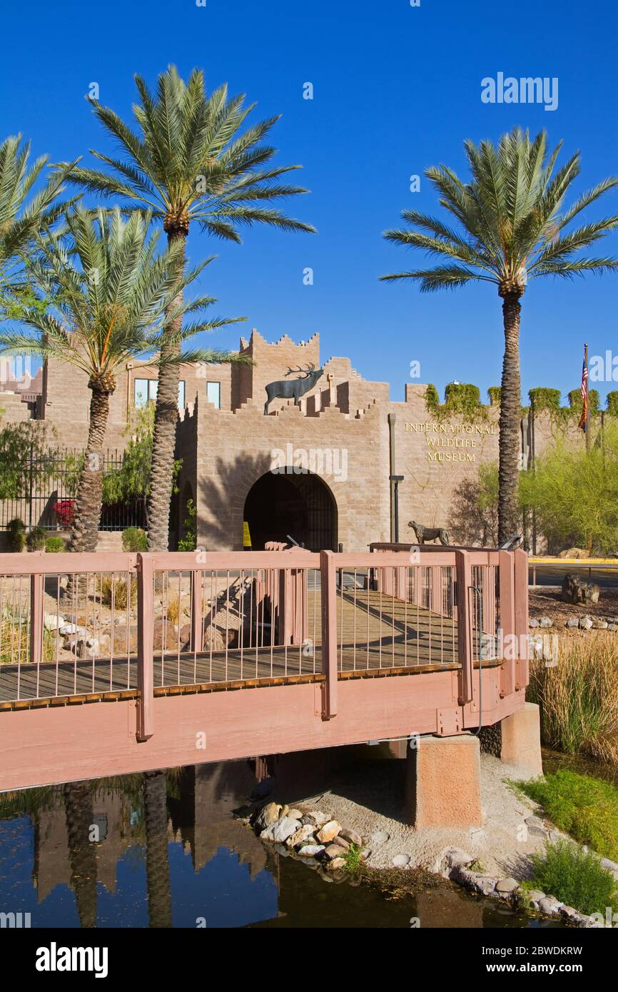 International Wildlife Museum, Tucson, Pima County, Arizona, USA Stock ...