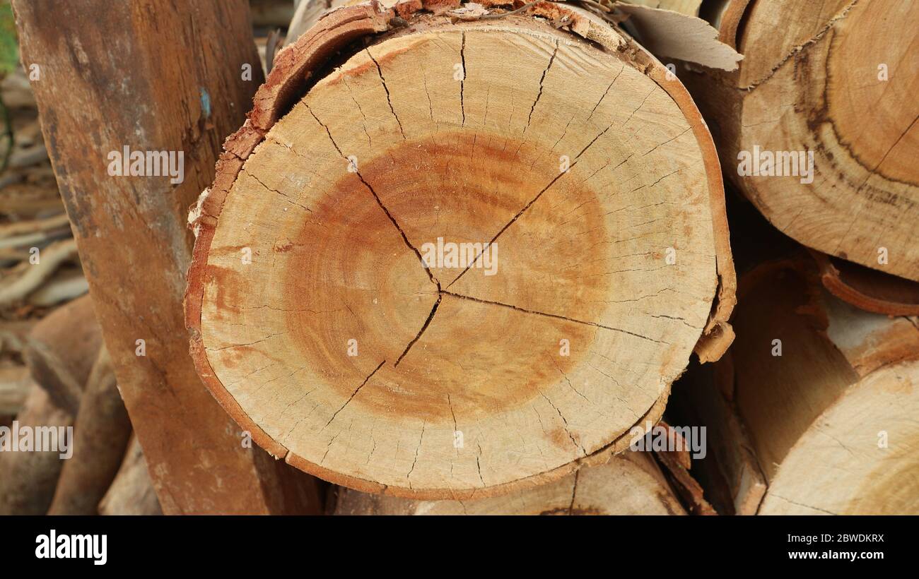 Circular Wood Texture Background High Resolution Stock Photography and ...