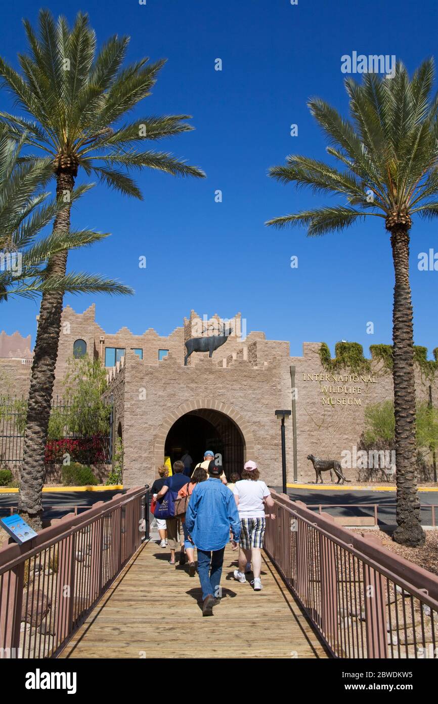 International Wildlife Museum, Tucson, Pima County, Arizona, USA Stock ...